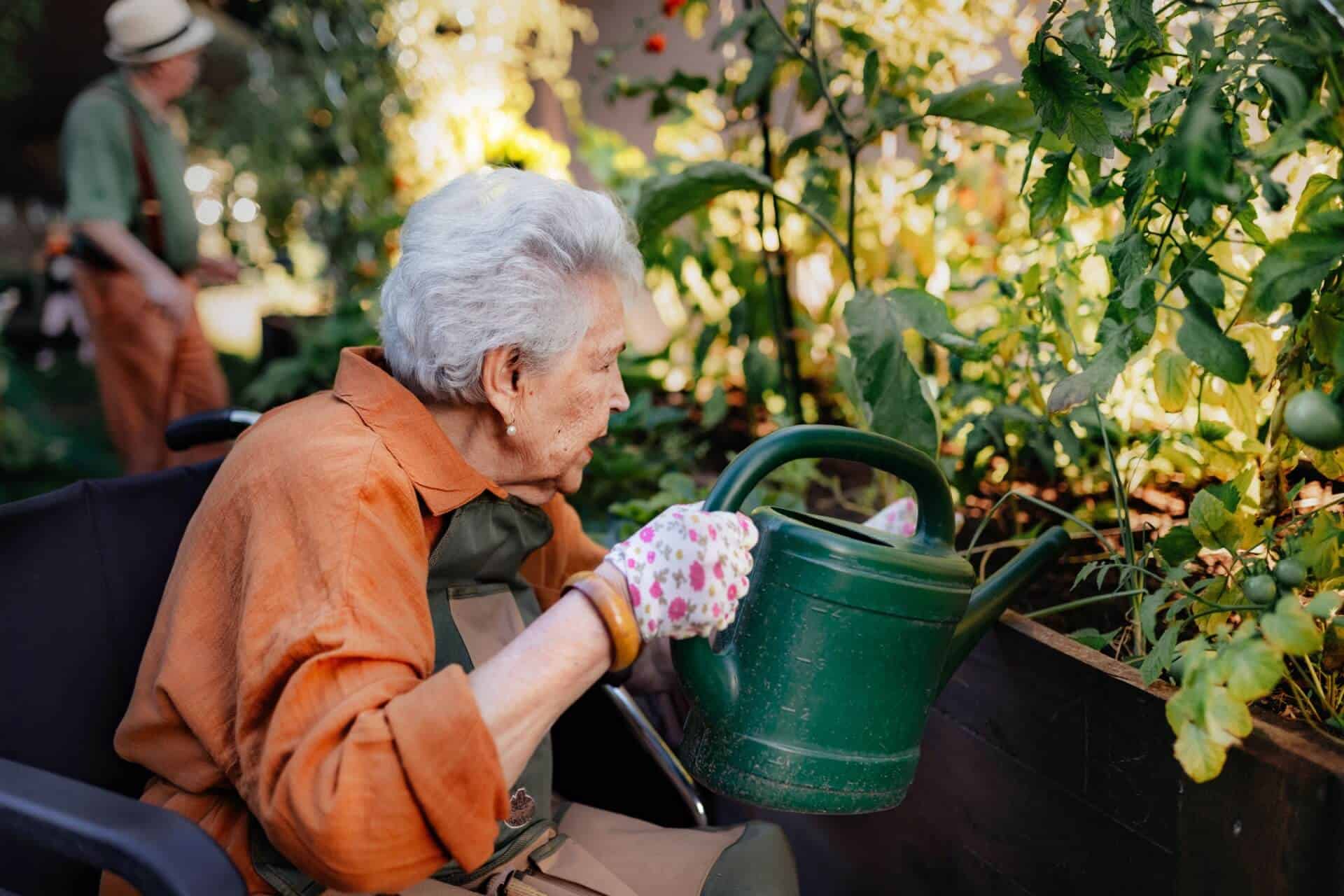 Gardening Tips for Seniors in Retirement Villages in Adelaide